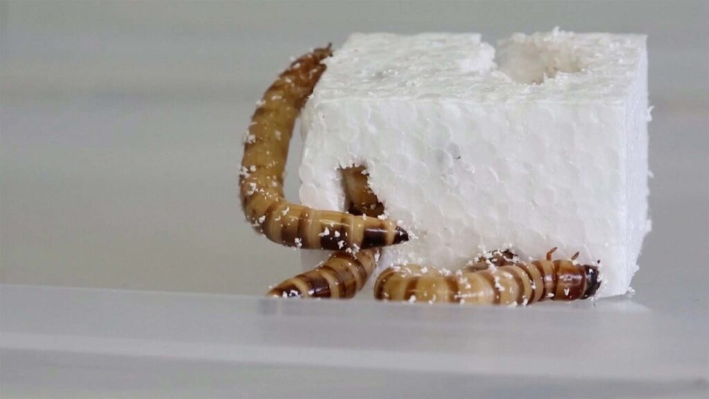 Chinese scientists create low-carbon building materials inspired by ...